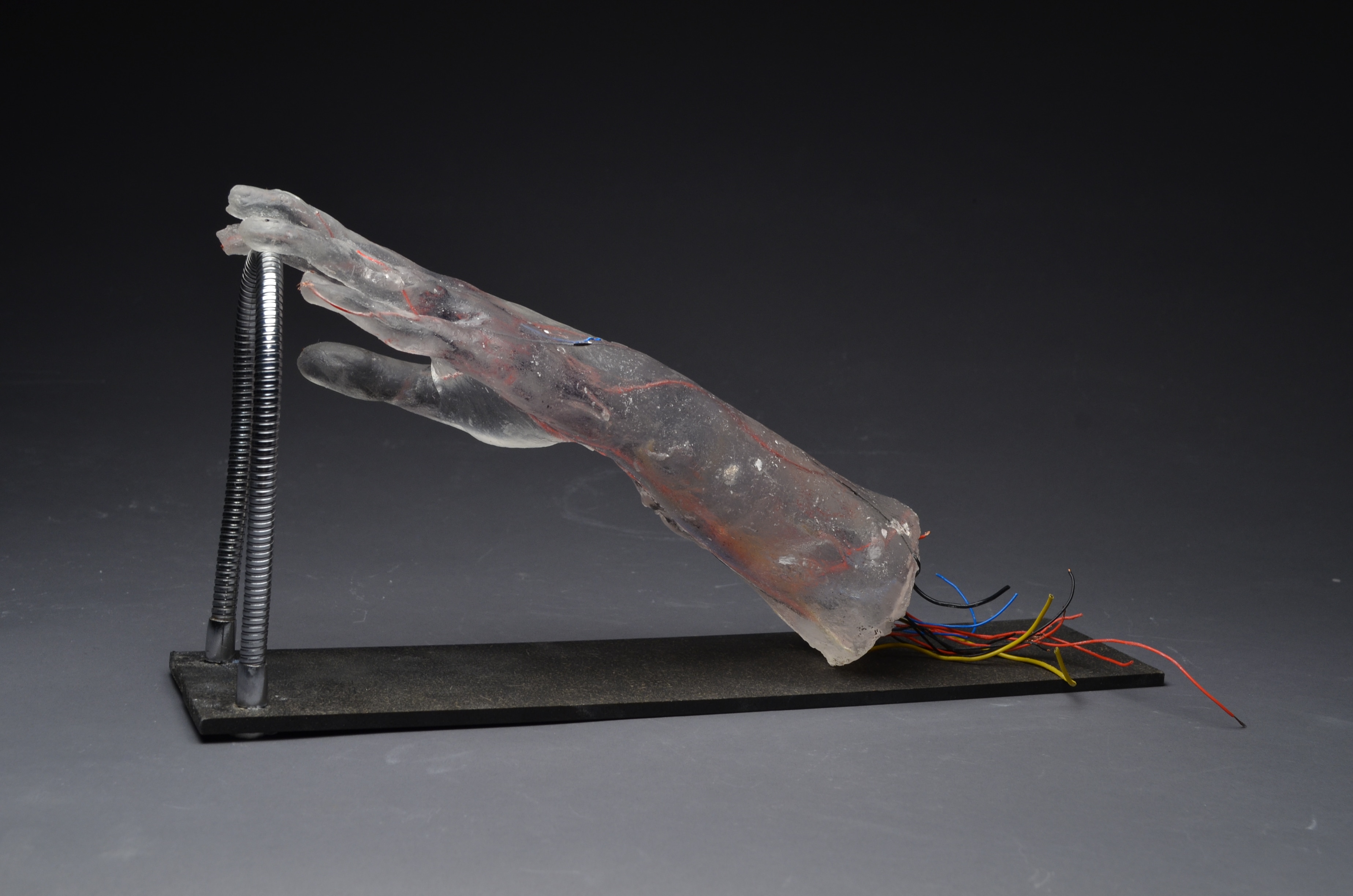 Synthetic Arm – Daniel Marcus Art